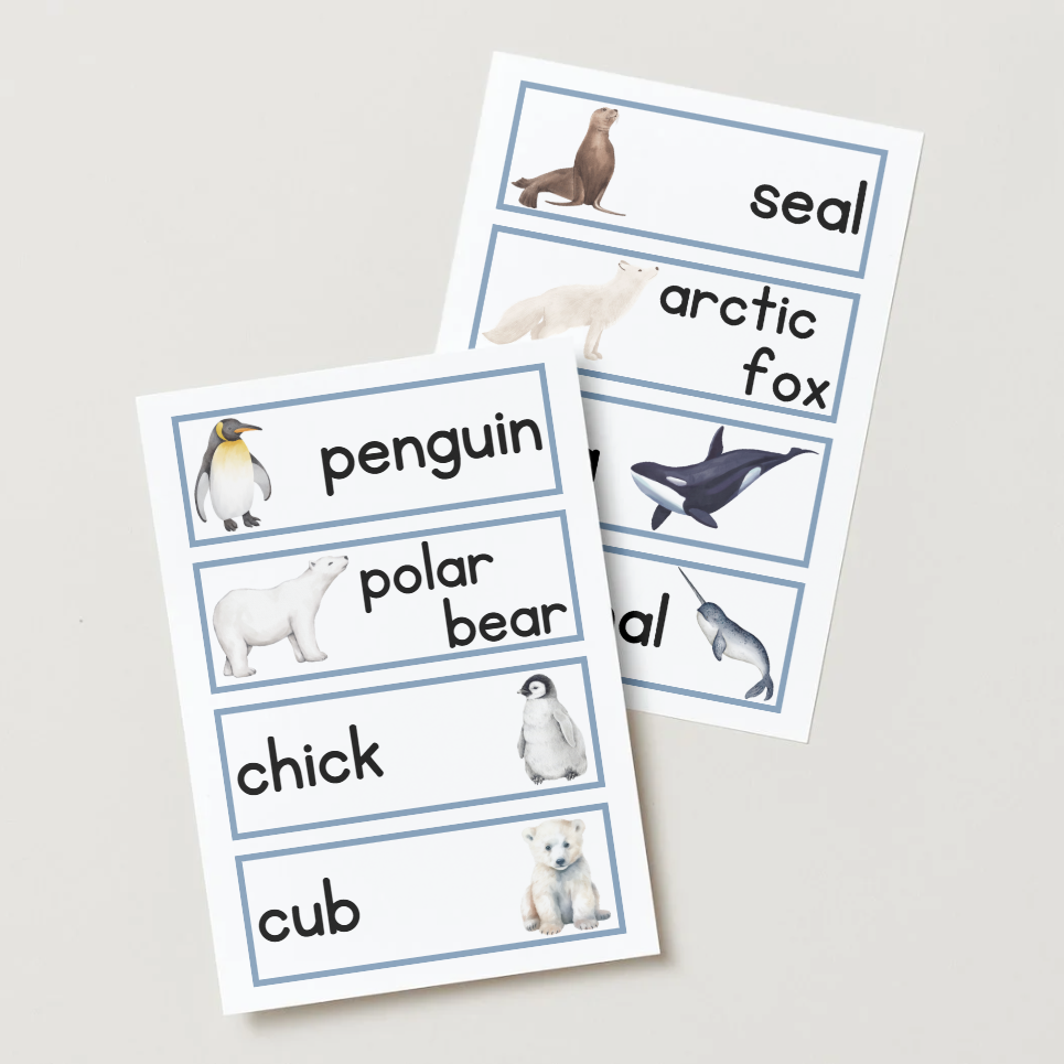 polar animals word cards - set of 12 (digital download) – The Small Folk